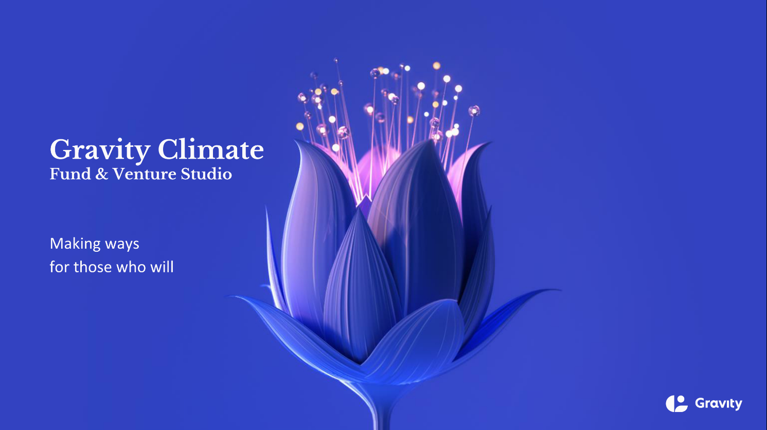 Business Opportunities