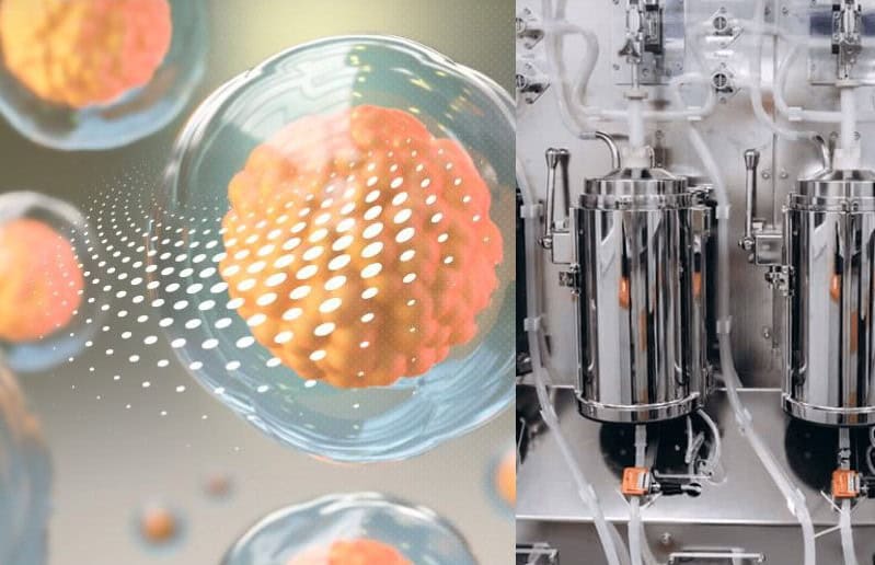 Pluri Secures $6.5 Million Investment and Acquires Majority Stake in ...