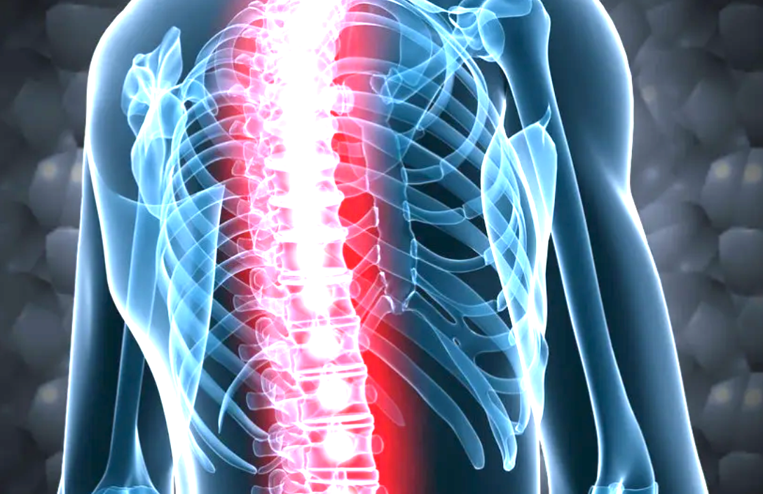 World’s First Spinal Cord Transplant to take place in Israel